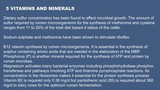 Microbial Protein synthesis in Ruminants | PPTX
