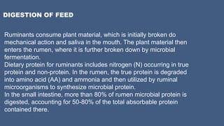 Microbial Protein synthesis in Ruminants | PPT