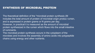 Microbial Protein synthesis in Ruminants | PPT