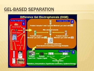 Microbial proteomics | PPT