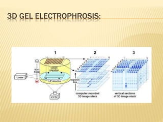 Microbial proteomics | PPT