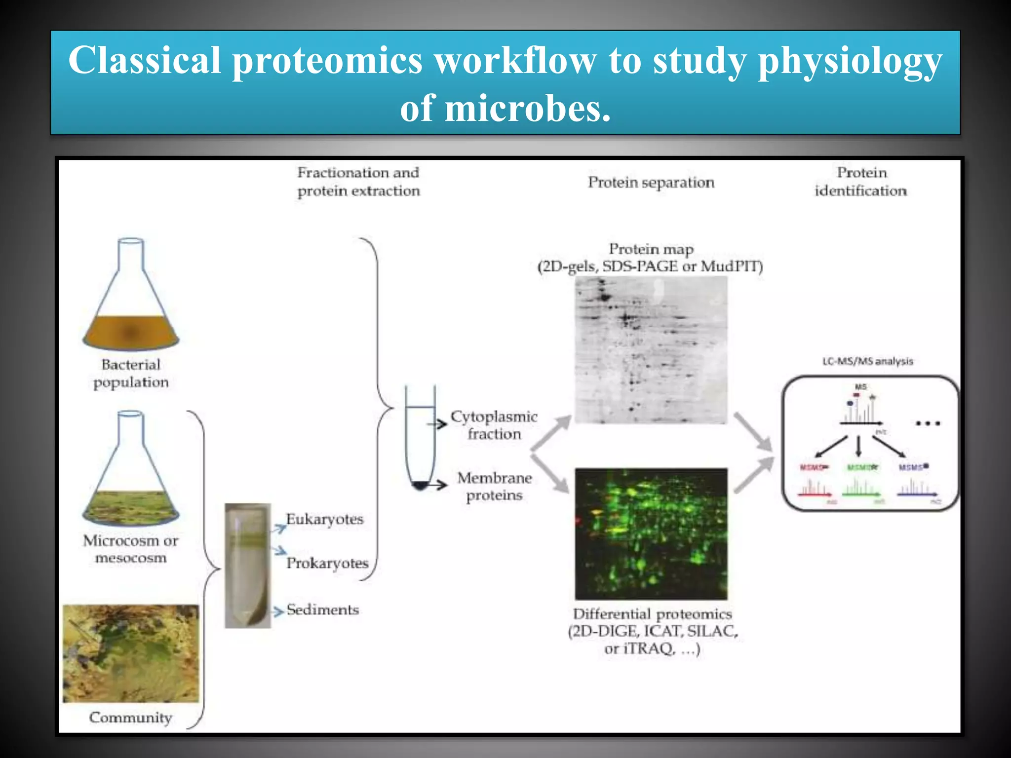 Microbial proteomics in biotechnology | PPT