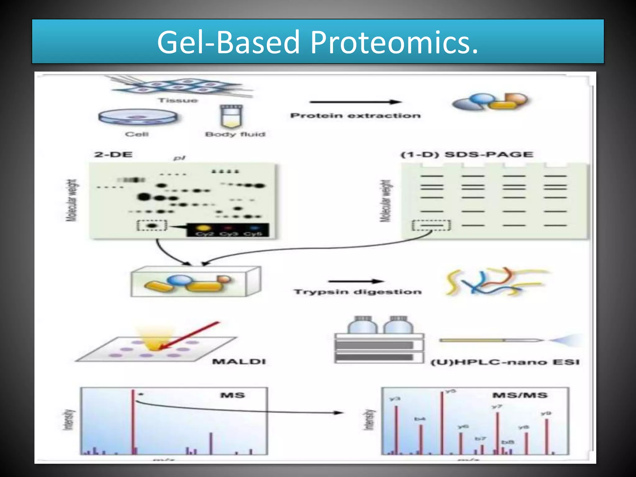 Microbial proteomics in biotechnology | PPTX