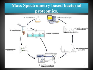 Microbial proteomics in biotechnology | PPT