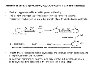 Environmental Microbiology: Microbial degradation of recalcitrant ...