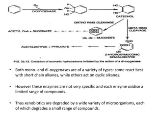 Environmental Microbiology: Microbial degradation of recalcitrant ...