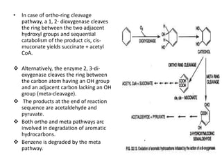 Environmental Microbiology: Microbial degradation of recalcitrant ...