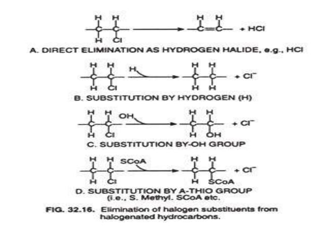 Environmental Microbiology: Microbial degradation of recalcitrant ...