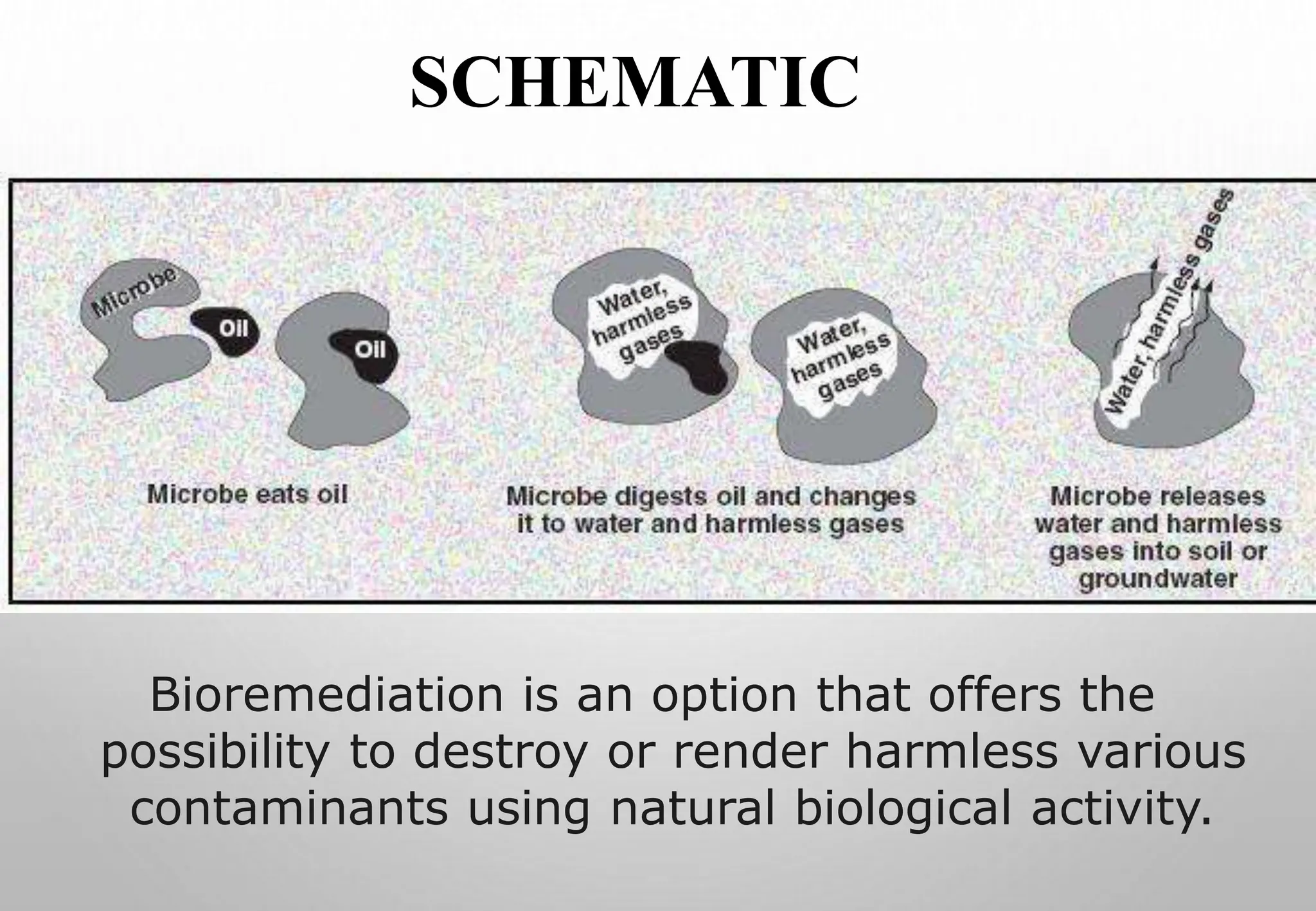 microbial_remediation_of_pollutants.pptx