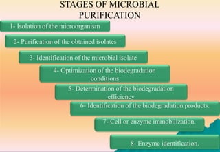 microbial_remediation_of_pollutants.pptx