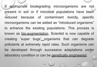 microbial_remediation_of_pollutants.pptx