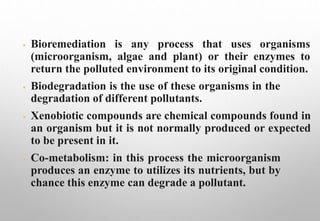 microbial_remediation_of_pollutants.pptx