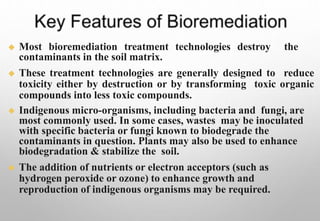 microbial_remediation_of_pollutants.pptx