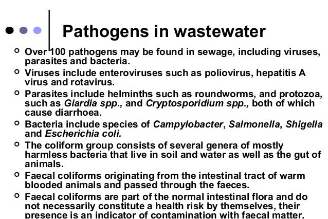 Pathogen Removal From Water – Bacterial pathogen removal in wastewater ...