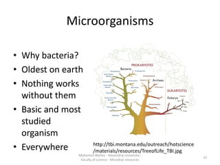 Microbial resources | PDF