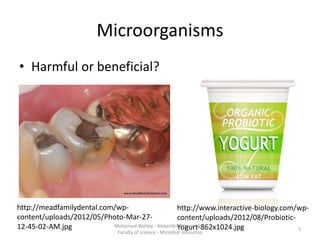 Microbial resources | PDF
