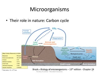 Microbial resources | PDF