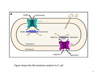 Microbial response to acid stress | PPT