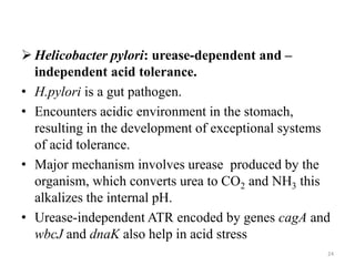 Microbial response to acid stress | PPT