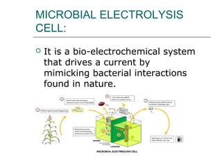 Microbial reverse electrodialysis cell | PPT