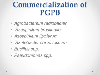 Microbial Role In Regulatory Mechanisms Of Plants.pptx
