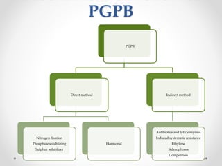 Microbial Role In Regulatory Mechanisms Of Plants.pptx