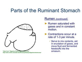 Microbial(Ruminal) digestion.pdfllllllllllllllllllllllllllll | PDF