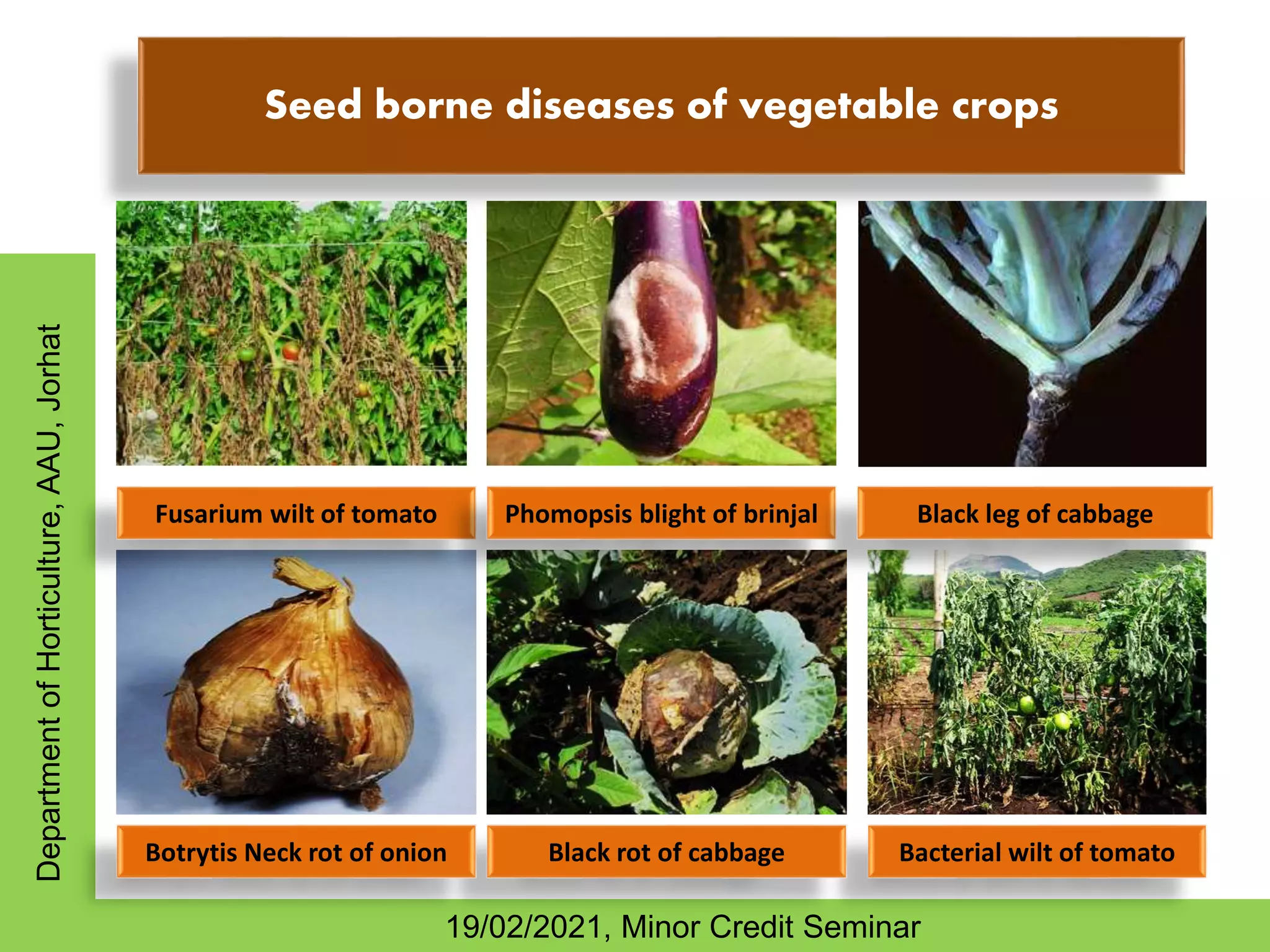 Microbial seed coating | PPTX