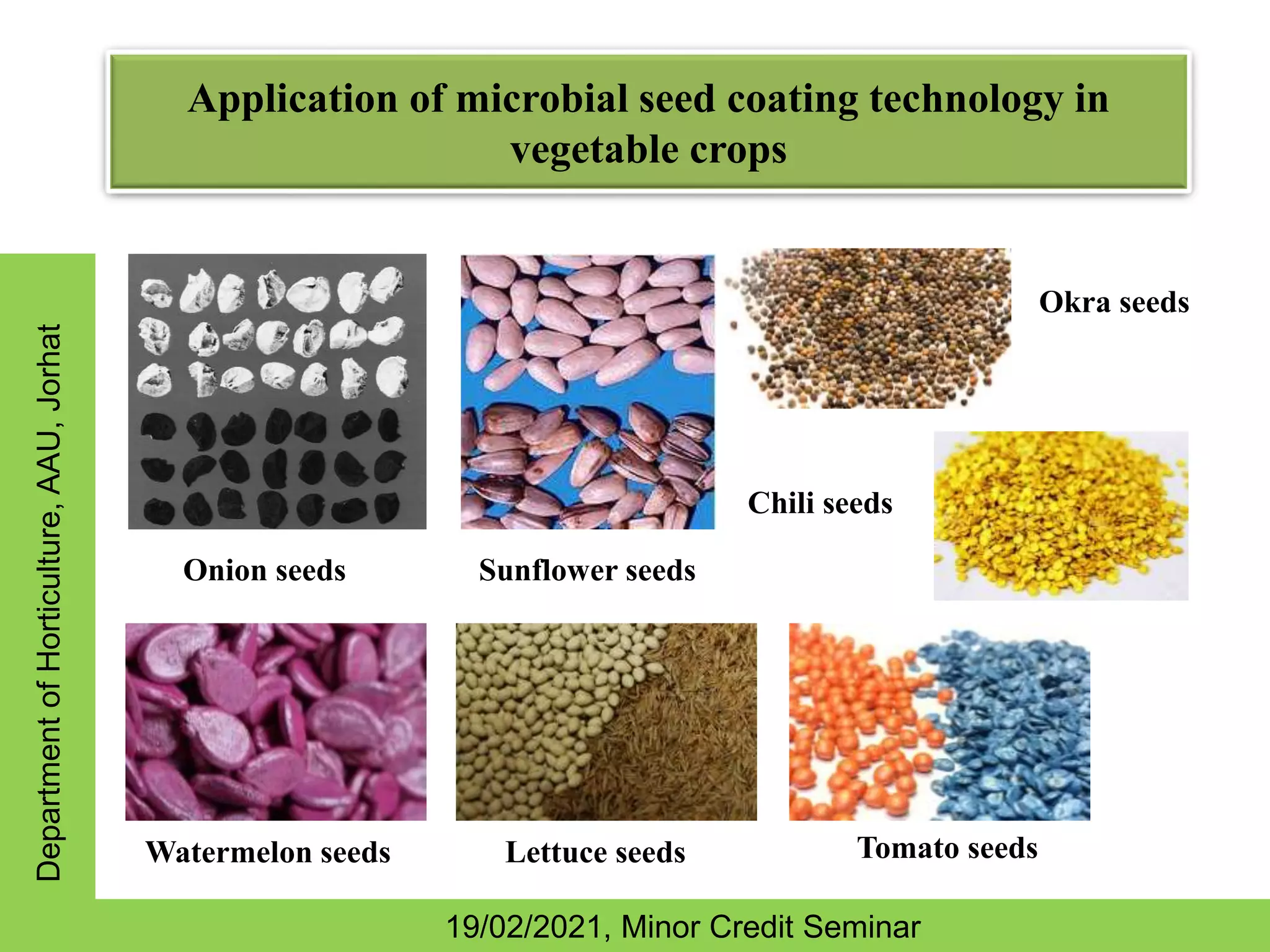 Microbial seed coating | PPTX