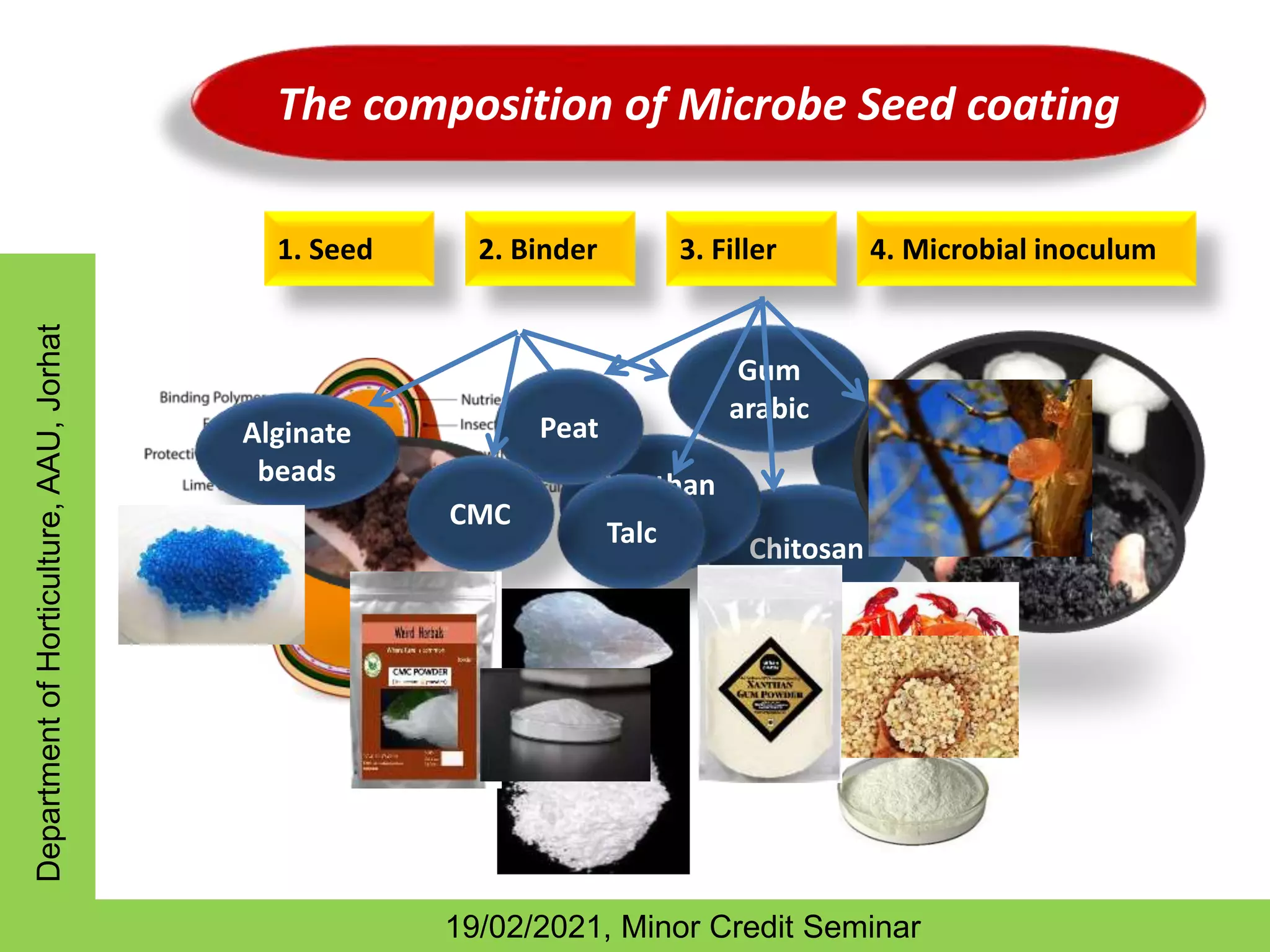 Microbial seed coating | PPTX