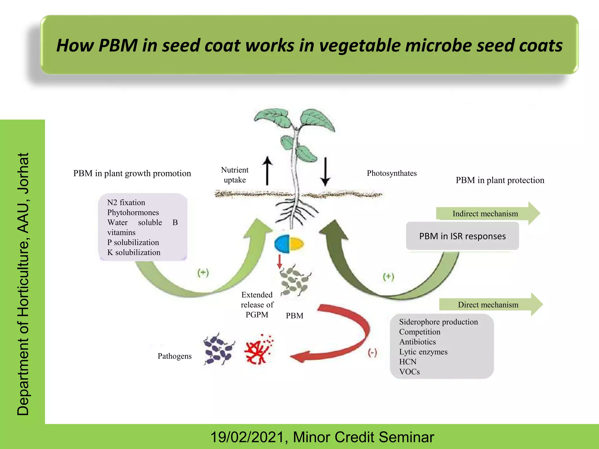 Microbial seed coating | PPTX