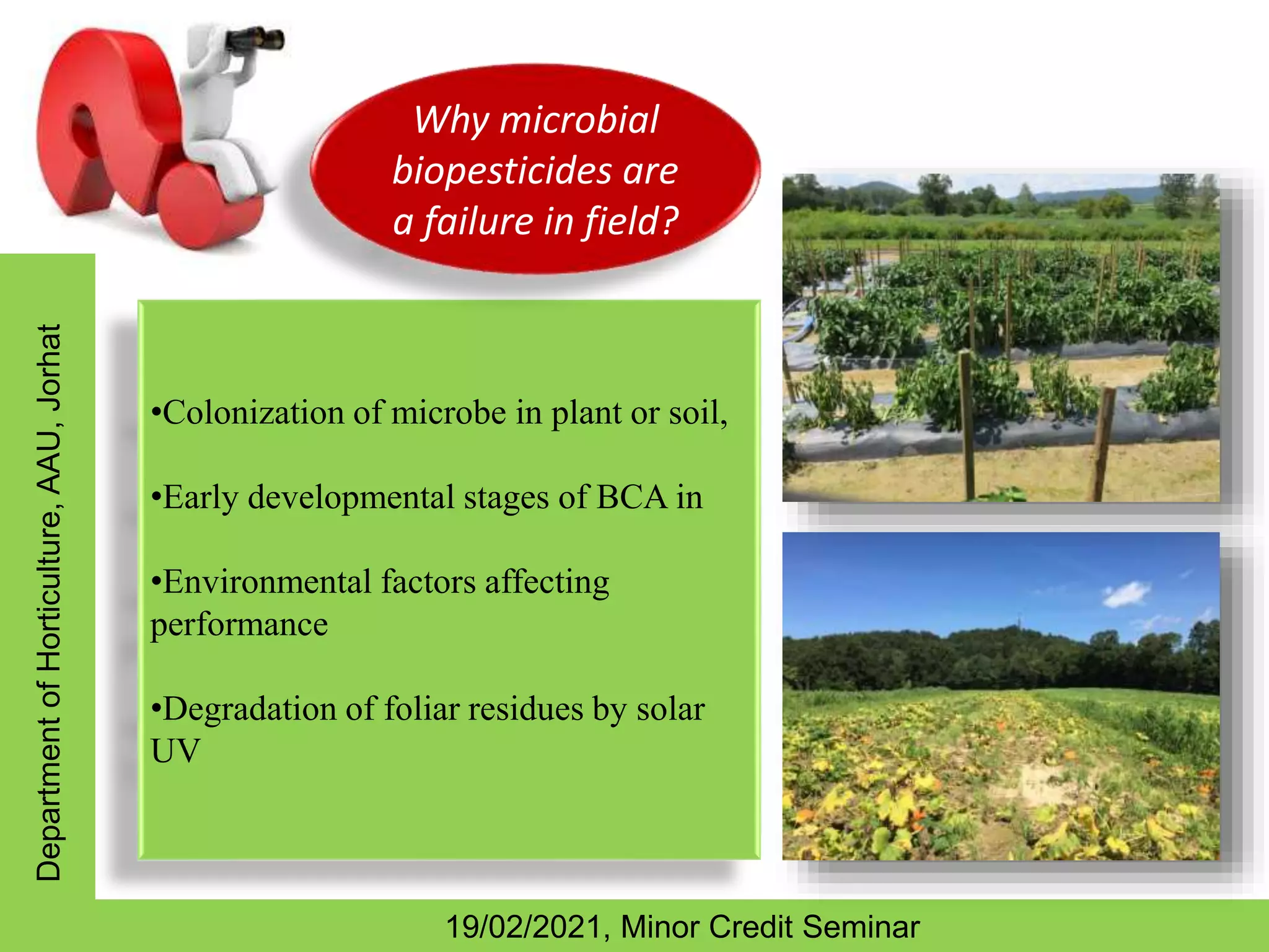 Microbial seed coating | PPTX
