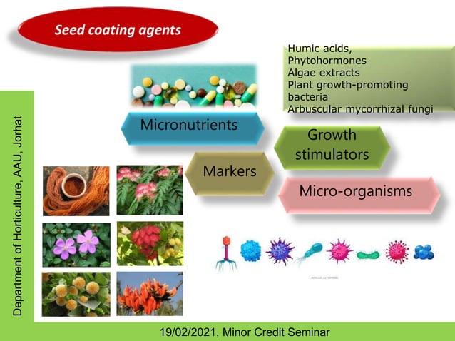 Microbial seed coating | PPTX
