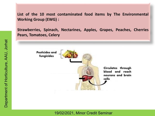 Microbial seed coating | PPTX