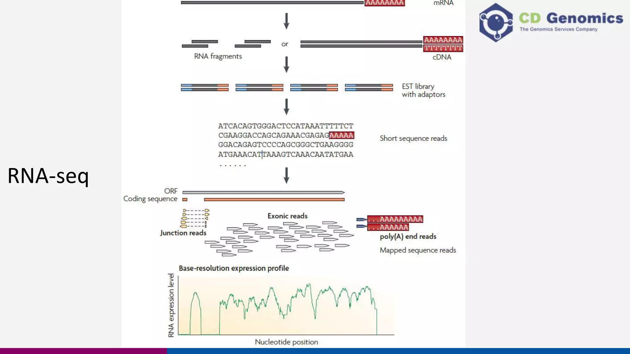 Microbial sequencing | PPTX