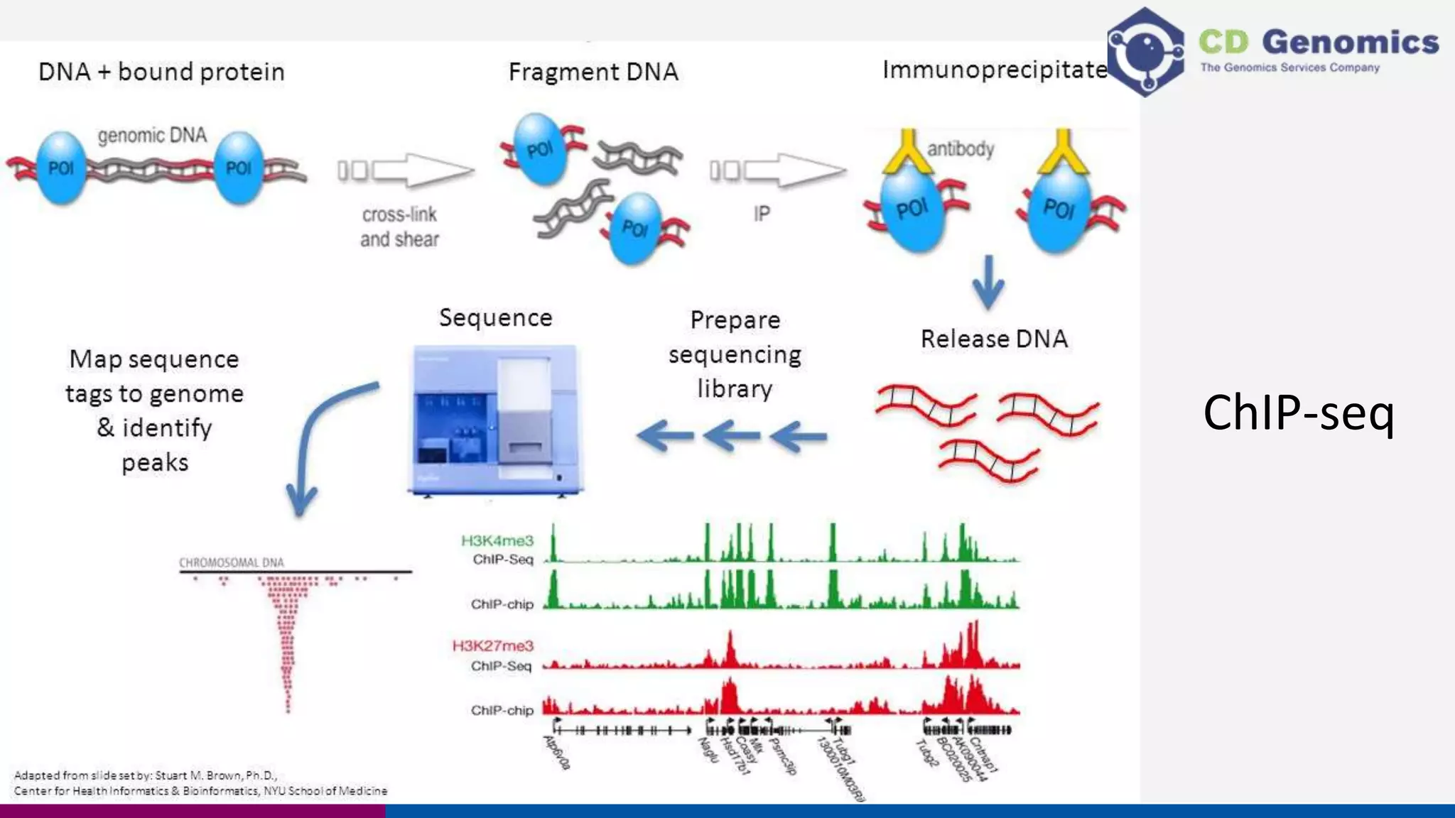 Microbial sequencing | PPTX