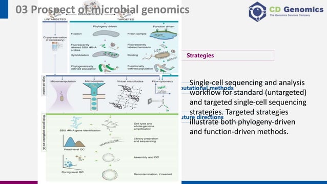 Microbial sequencing | PPTX