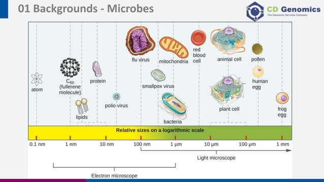 Microbial sequencing | PPTX