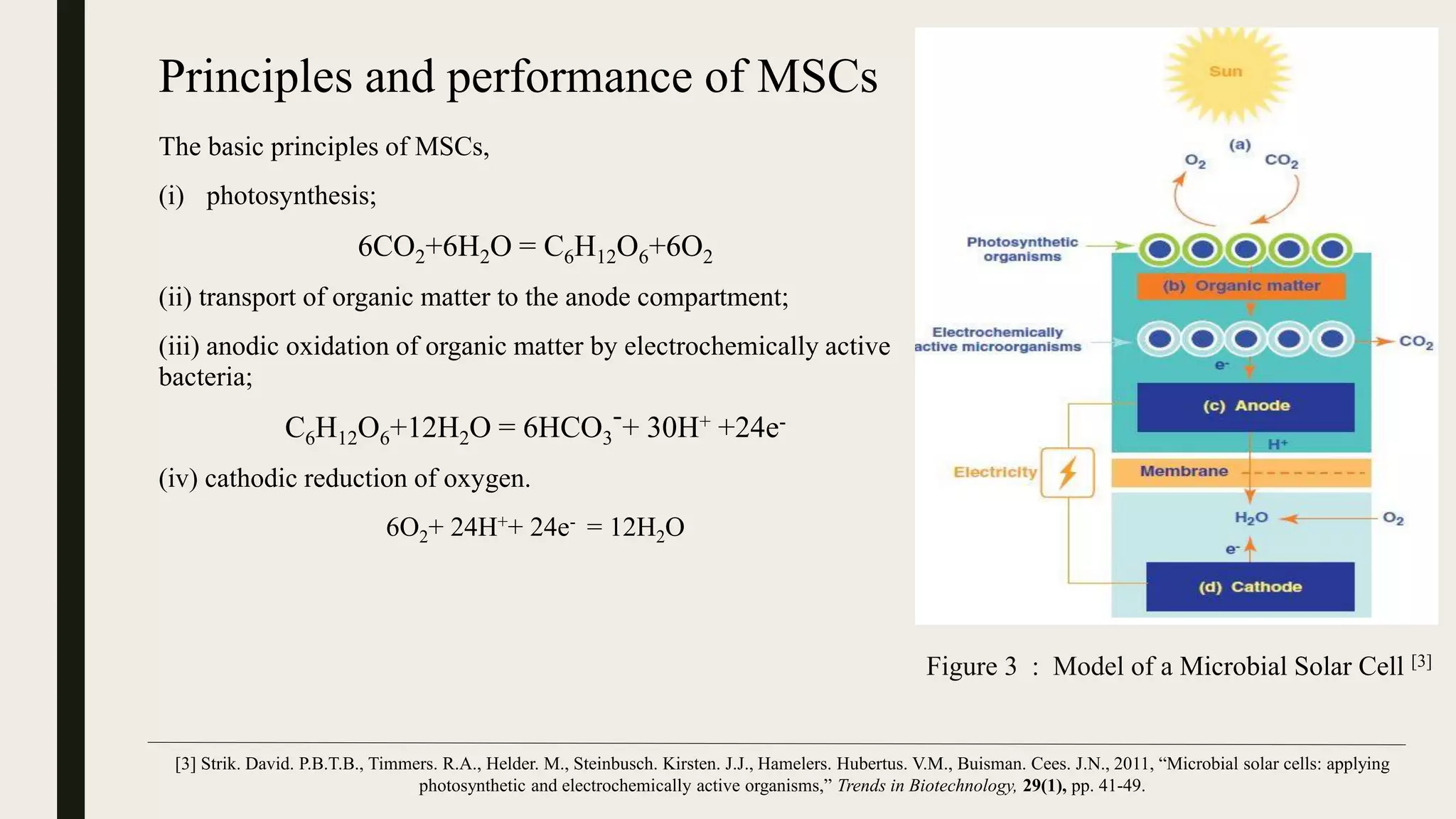 Microbial Solar Cells: Applying Photosynthetic and Electrochemically ...