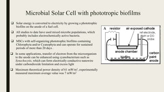 Microbial Solar Cells: Applying Photosynthetic and Electrochemically ...