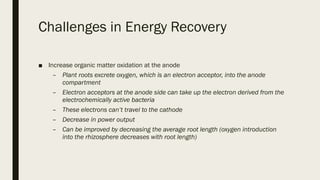 Microbial Solar Cells: Applying Photosynthetic and Electrochemically ...
