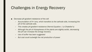 Microbial Solar Cells: Applying Photosynthetic and Electrochemically ...