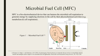 Microbial Solar Cells: Applying Photosynthetic and Electrochemically ...