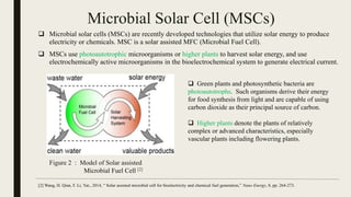 Microbial Solar Cells: Applying Photosynthetic and Electrochemically ...