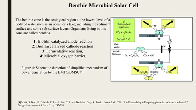 Microbial Solar Cells: Applying Photosynthetic and Electrochemically ...