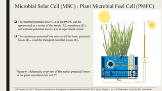 Microbial Solar Cells: Applying Photosynthetic and Electrochemically ...