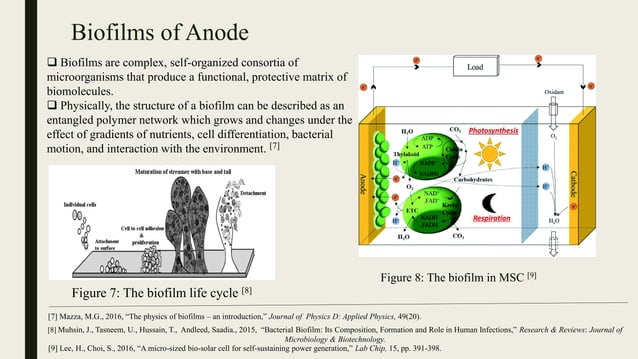 Microbial Solar Cells: Applying Photosynthetic and Electrochemically ...