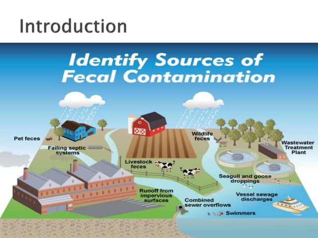 Microbial Source Tracking Markers For Detection Of Fecal Contamination