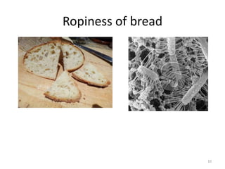 Food Contamination and Microbial spoilage | PPTX