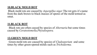 Microbial spoilage of fruits and vegetables .pdf